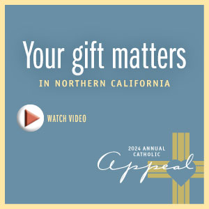 Parish and Advocate Resources | Diocese of Sacramento