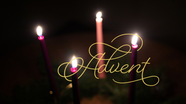 Diocese of Sacramento | News